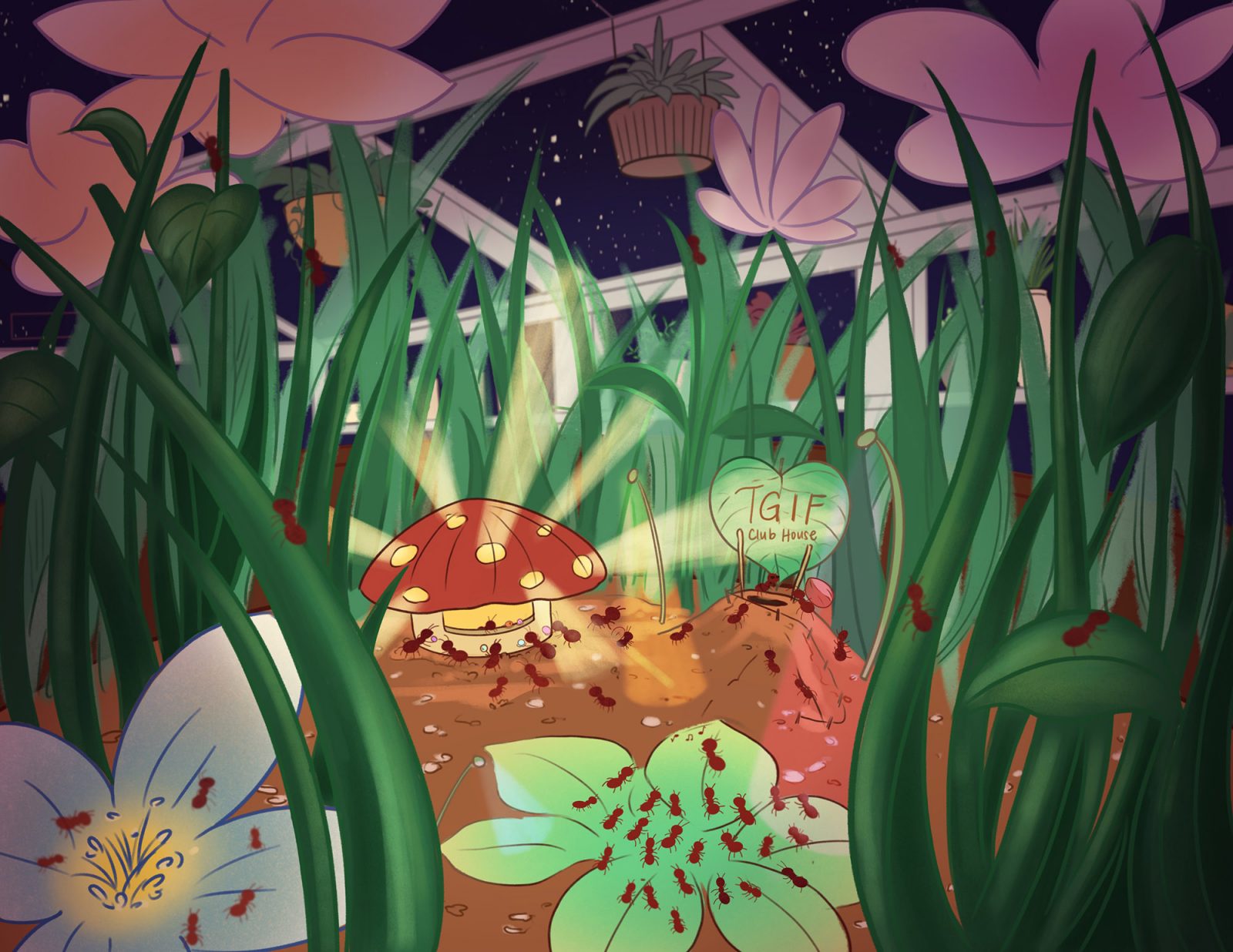 Tara Zeng – OCAD U Illustration