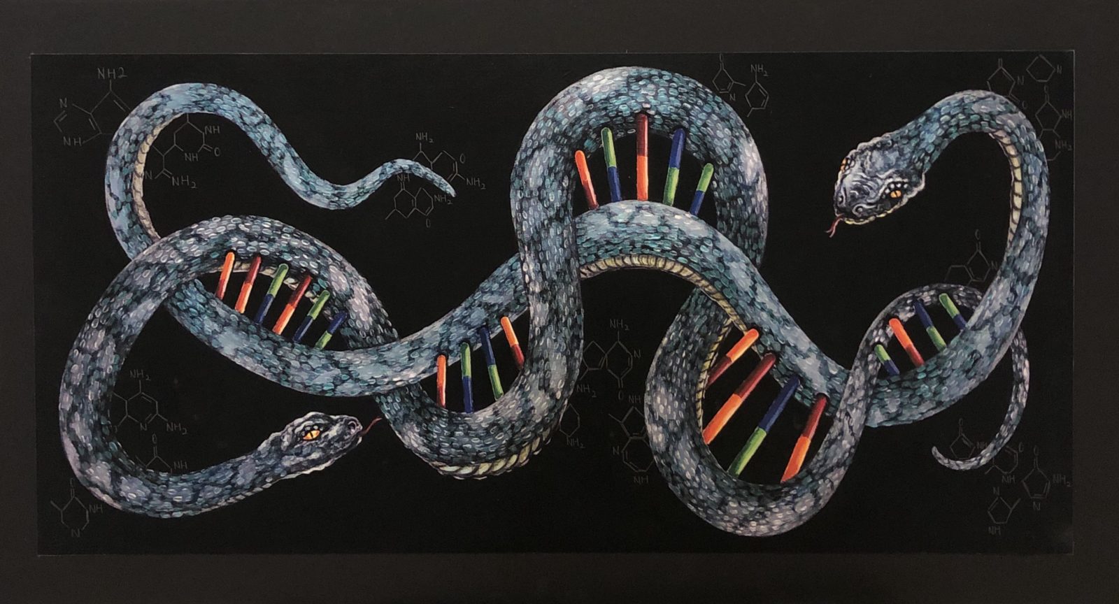 Janelle Cheung – OCAD U Illustration